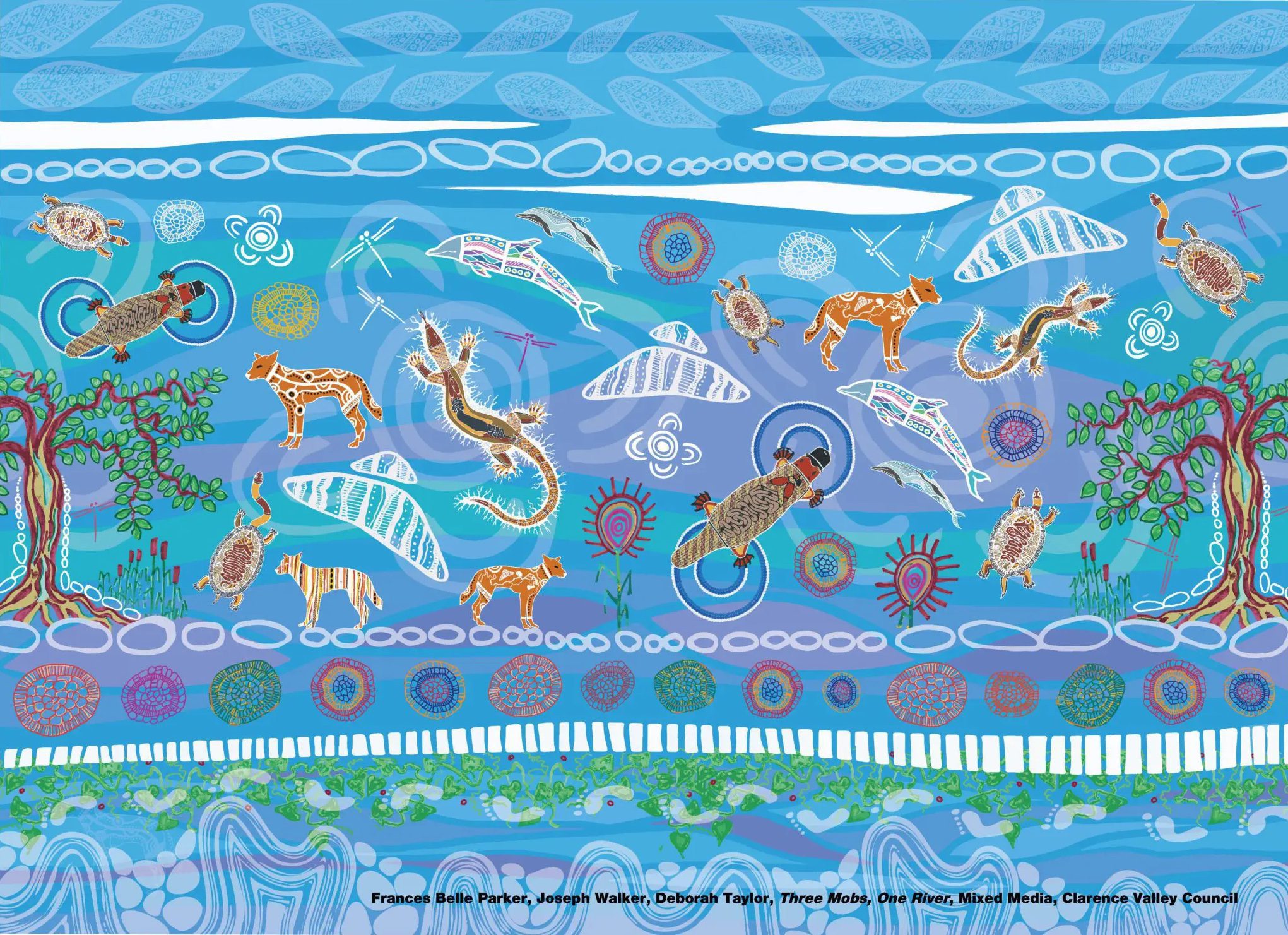 Yamba, NSW - Clarence Valley